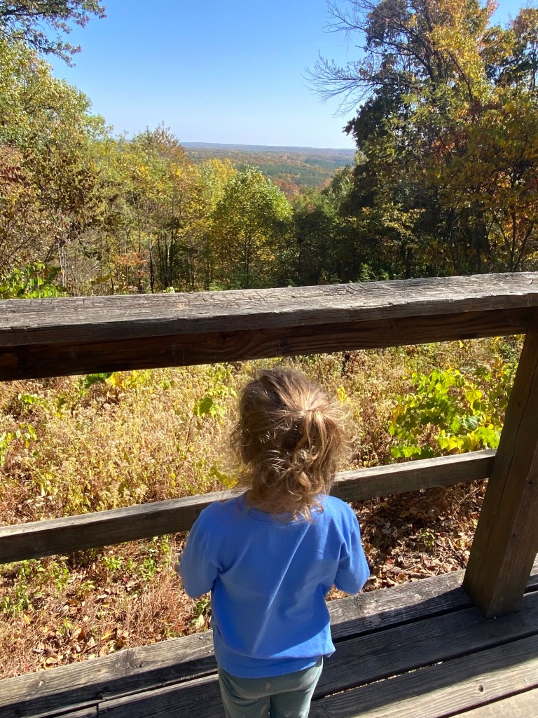 Discover the Beauty of Indiana’s State Parks: Nature, Adventure, and ...