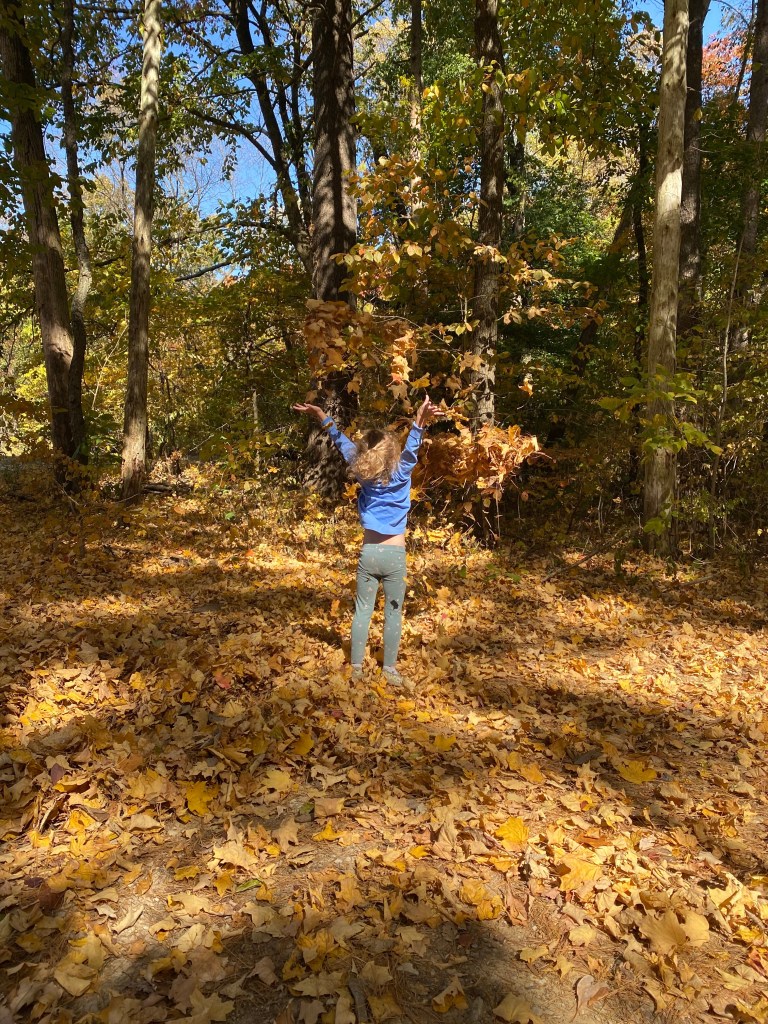 Discover the Beauty of Indiana’s State Parks: Nature, Adventure, and ...