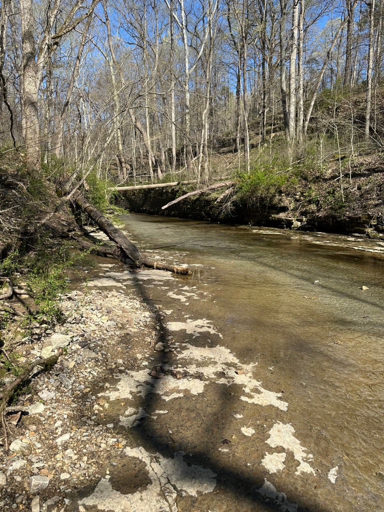 Discover the Beauty of Indiana's State Parks: Nature, Adventure, and ...